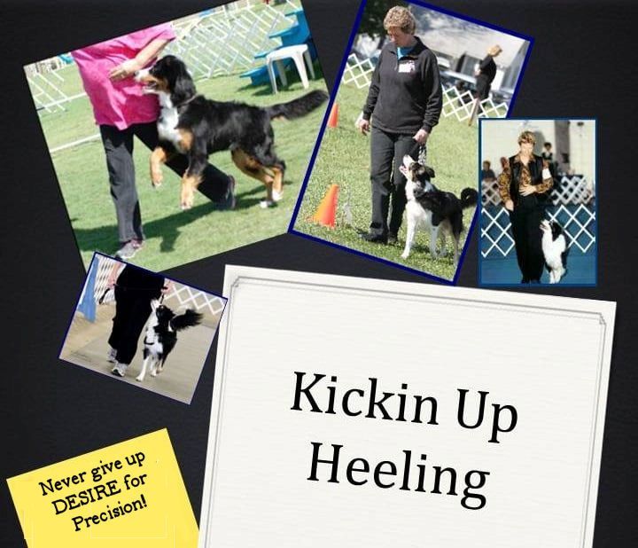 Kickin Up Heeling - Polish and Perfect - Pt 3 - Registration ...