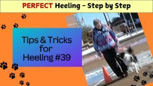Heeling Tips & Tricks #39 - BOX Drill - Circles - Teaching & Building ...